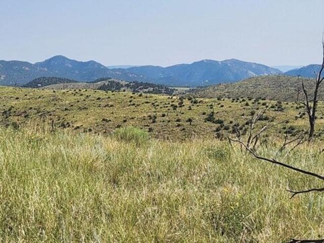 Tbd L Nd Trl, Cotopaxi, Plot For Sale