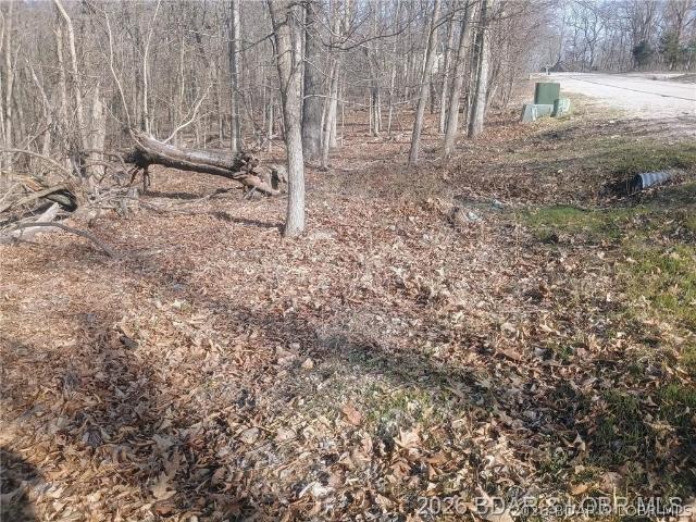 Tbd lot 46 bloomington drive