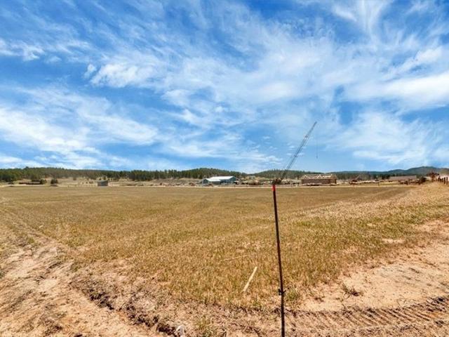 Tbd Lot 14 Pleasant Valley Road Lot Tbd Four Mile Ln Lot 14, Custer, SD 57730