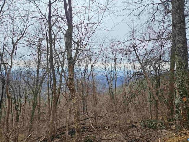 Tbd Lot 17 Lots 17 & 18 and 18 Spring Branch Ln, Free Union, VA 22940