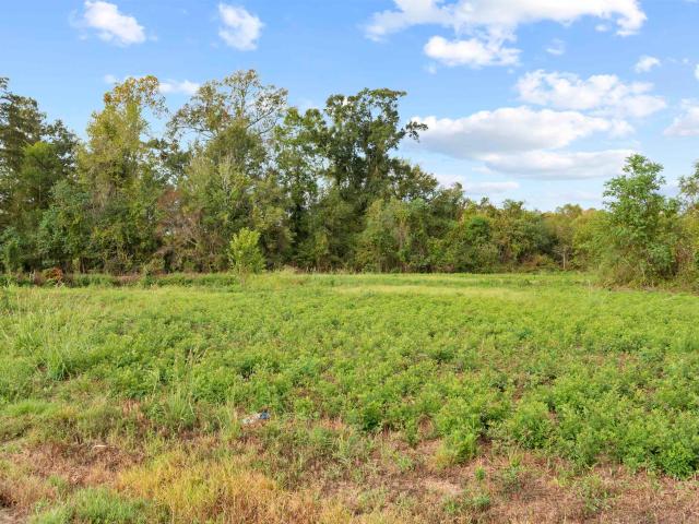 Tbd lot 19 A Tbd, Prairieville, LA 70769 | MLS #BR2023016 | Compass