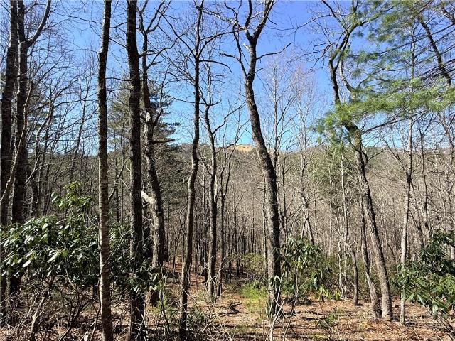 TBD Lot 19 Lost Trail