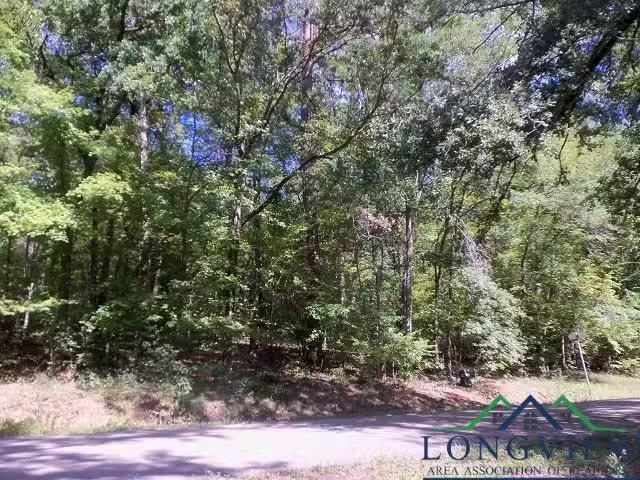 Tbd lot 13 Willow Springs Road, Kilgore, TX 75662