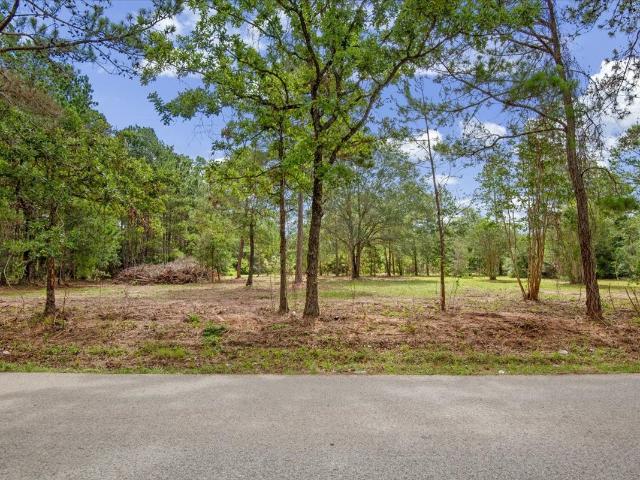 TBD Lot 1 County Road 302