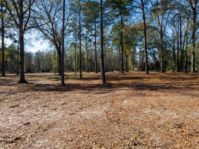 TBD Lot 1 County Road 3545