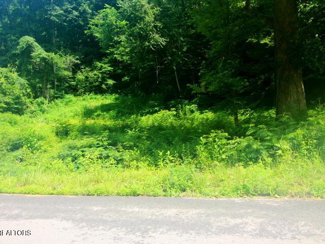 TBD Lot 1 Carrs Creek Rd