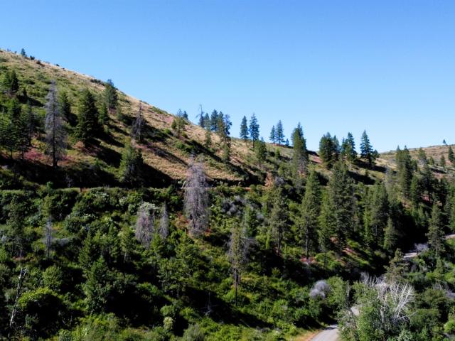 TBD Lot 1 Advent Gulch Rd