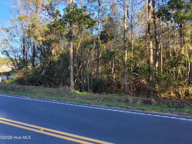 Tbd Lot 1 Auburn Drive # 1