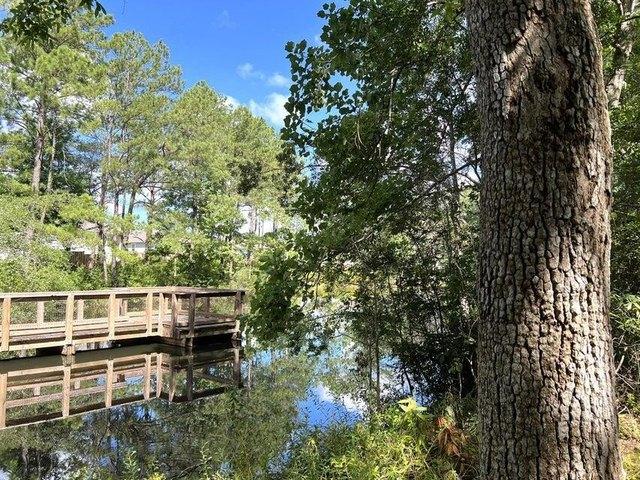 Tbd Lot 1 S Marsh Unit Tbd Lndg Lot 1, Freeport, FL 32439