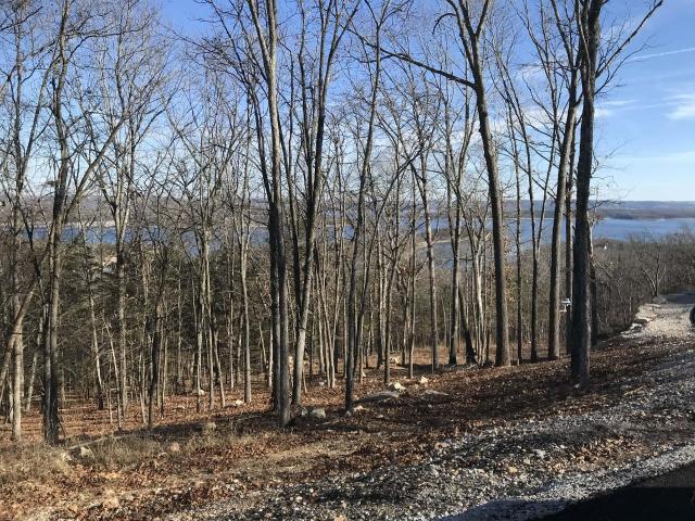Tbd Lot 1c Lake Bluff Dr