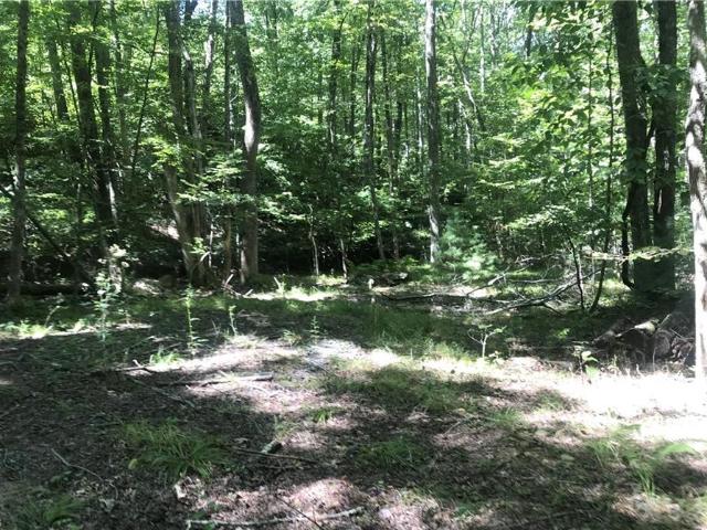 TBD Lot 28 Sonterra Drive