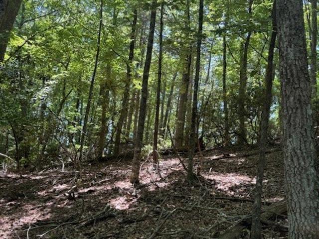 TBD Lot 20 High Meadows Lane