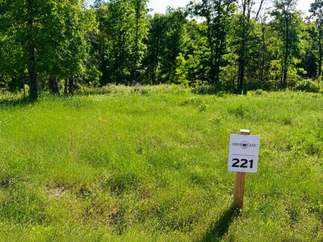 TBD Lot 221 Vintage Rd