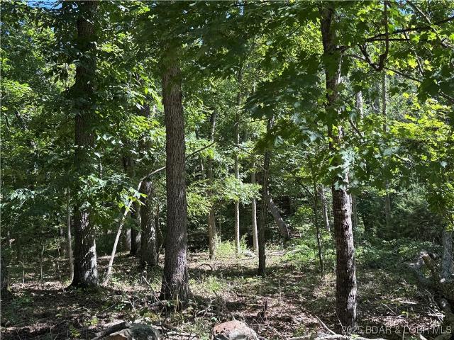 TBD Lot #2 Bowers Drive