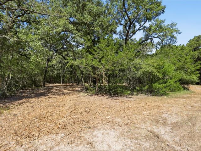 TBD Lot 2 Grassbur Road