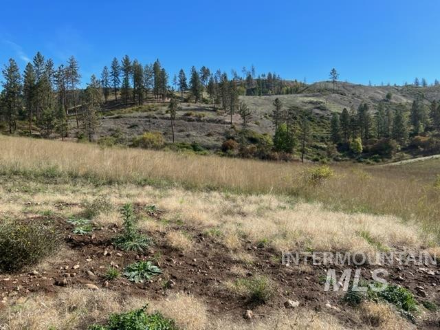 TBD Lot 2 Elk Hill Road