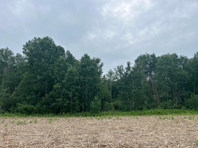 TBD Lot 2 Hemingway Avenue