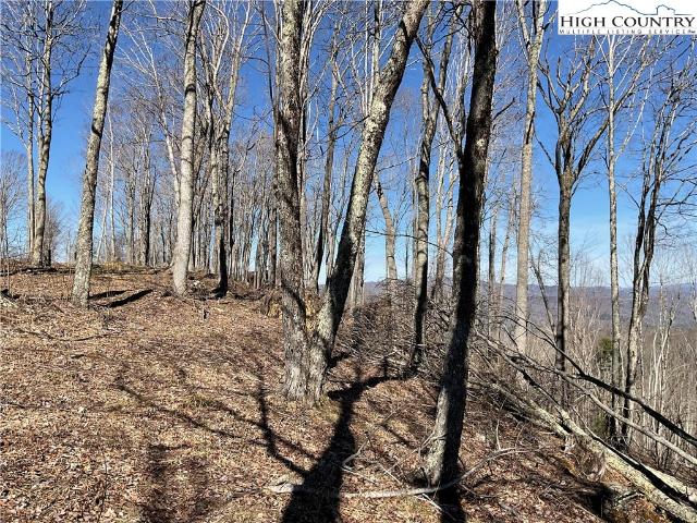 TBD Lot 34 Falls Creek Parkway