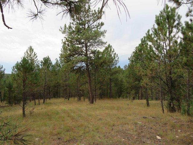 Tbd Lot 34B Hombre Lot Tbd Trl Lot 34B, Custer, SD 57730