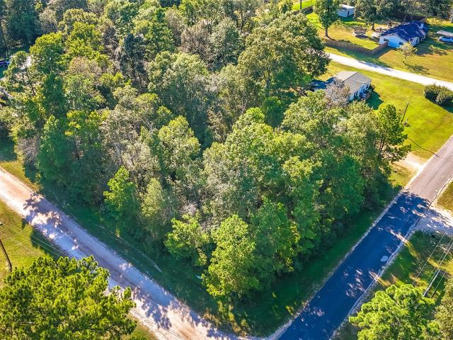 Tbd lot 35 36 Tbd Branch, Livingston, TX 77351 | MLS #87817 | Compass