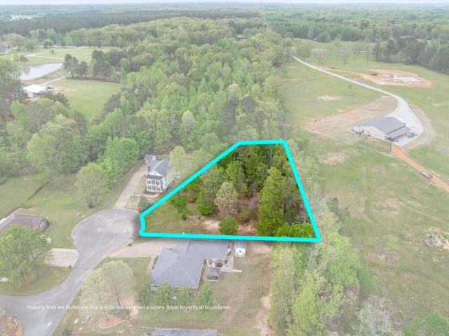 Tbd lot 37 tadpole ln