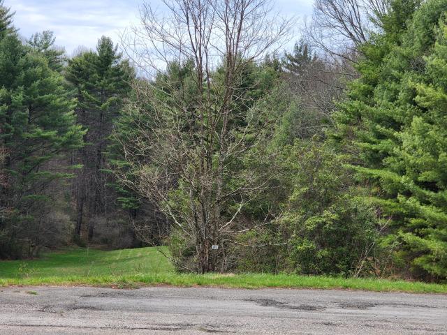 Tbd Lot 30 Laurelwood Lane