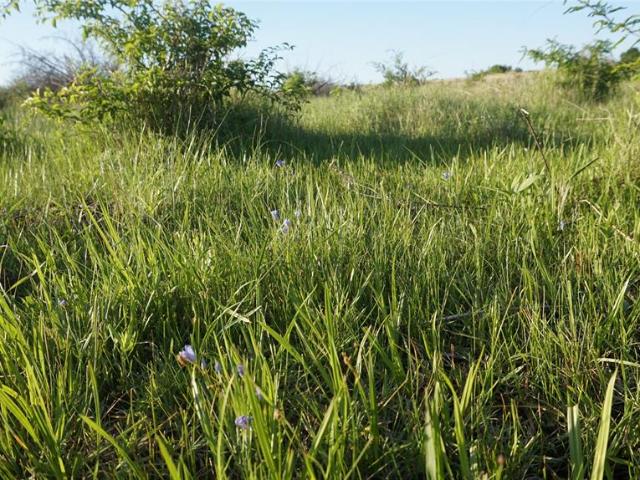 Tbd lot 3 4 Tbd Rd, Sherman, TX 75090 | MLS #21224