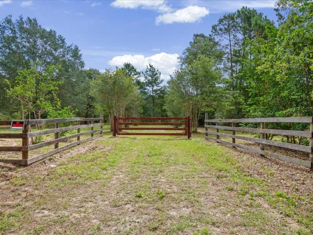 TBD Lot 3 County Road 302