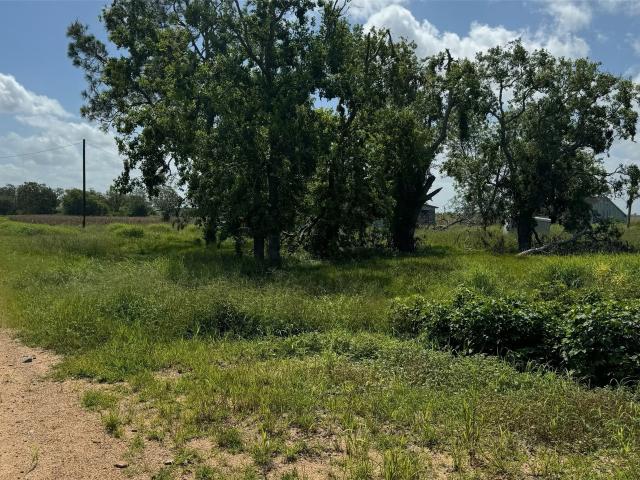 TBD Lot 3 County Road 414