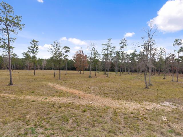 Tbd lot 3 fm 3152 road