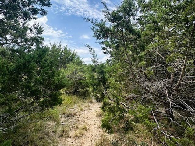 TBD Lot 3 Royal Eagle Dr