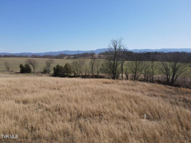 Tbd Lot 3 River Village Ln