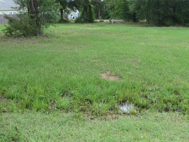 TBD LOT 45 Candlelight Lane