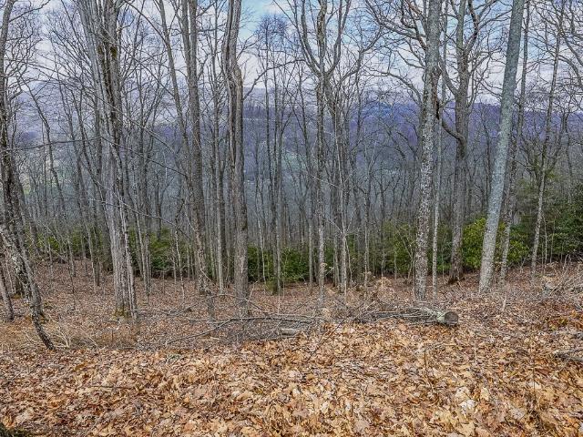 TBD Lot #46 Woodlily Drive