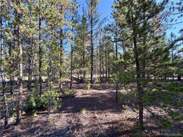 TBD Lot 479 Birch Drive