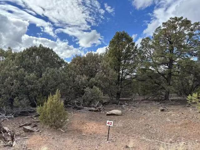 Tbd Lot 42 N3026, Vernon, AZ 85940 656831483
