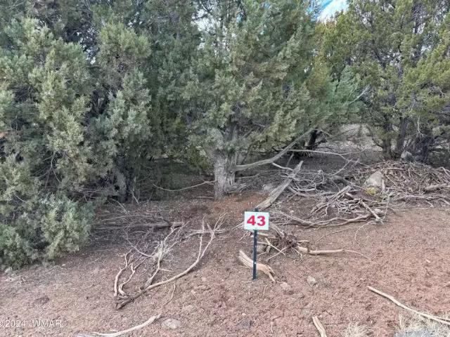 Tbd Lot 43 N3026, Vernon, AZ 85940 MLS 249440