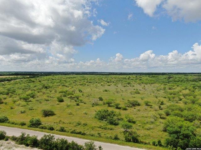 Tbd Lot 4 County Road 207 Lot TR35, Hobson, TX 78117