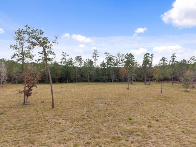 Tbd lot 4 fm 3152 road