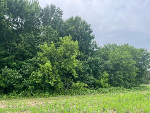 TBD Lot 4 Hemingway Avenue