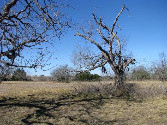 Tbd lot 4 Tbd Rd, Gatesville, TX 76528 | MLS #21175 | Compass