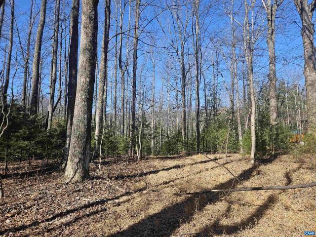 TBD Lot 56G Turkey Ridge Rd # 56G