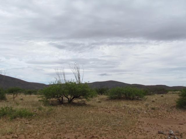 TBD Lot 50 Mule Mountain Ranches 2 # 50