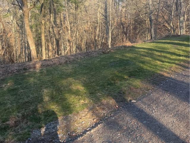 TBD Lot 5&6 Carefree Cove Road