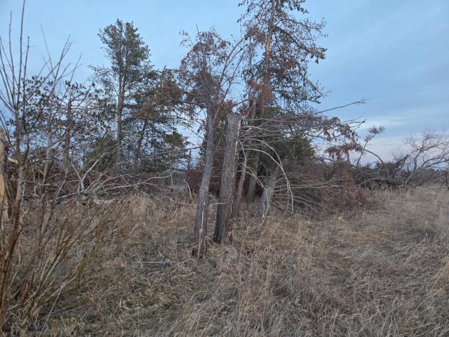 TBD Lot 5 Beartooth Avenue SW