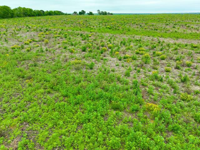 Tbd lot 5 blk 2 Tbd Rd, Buckholts, TX 76518 | MLS #6815