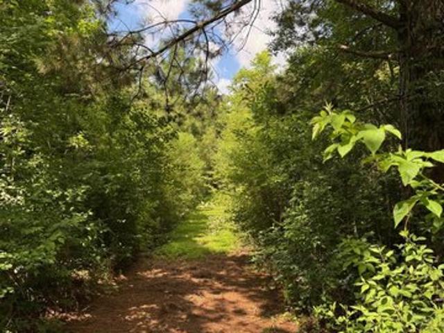 Tbd Lot 5 Frozard Rd Lot 5, Arnaudville, LA 70512