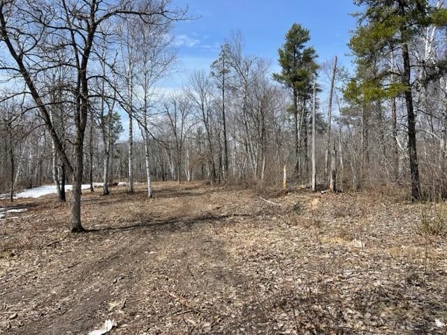 TBD Lot 5 New Manz Drive