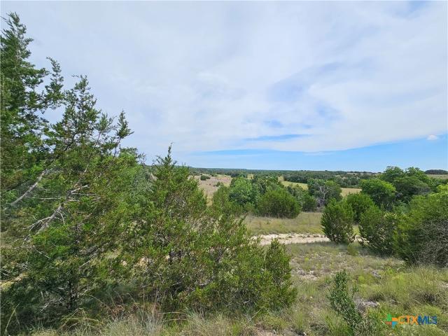TBD Lot 64 FM 580 E 0123