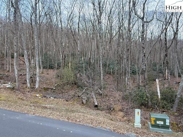 TBD Lot 61 Wildcat Wilderness Parkway